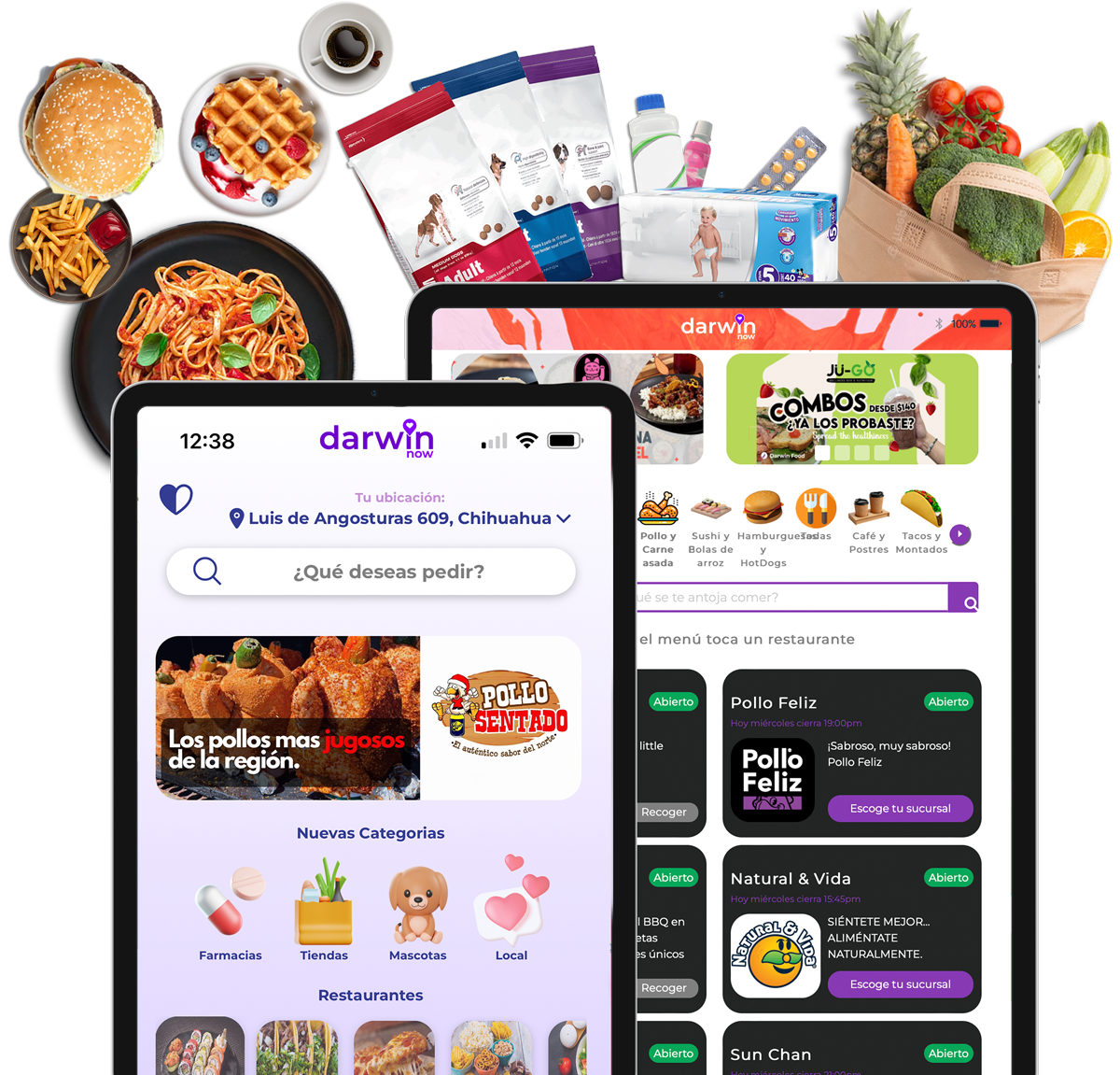 Darwin Now - Lo llevamos a ti